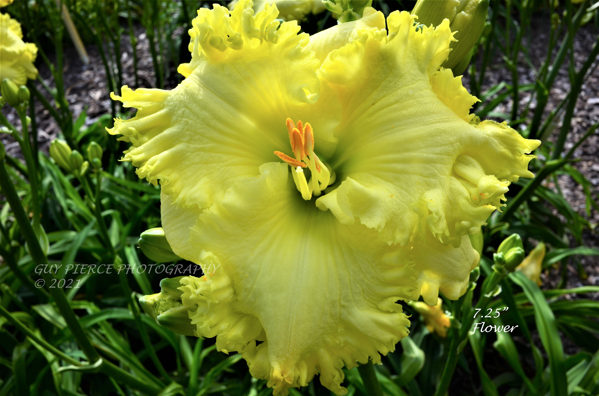 Floyd Cove Nursery