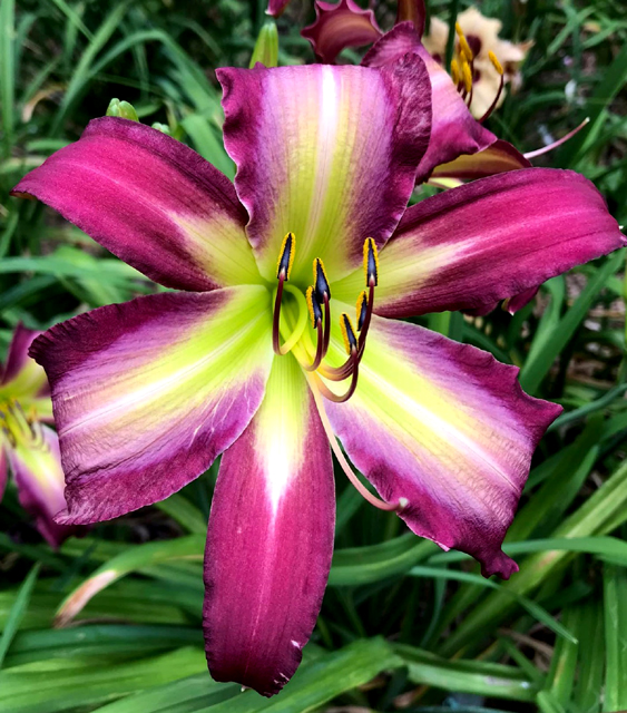 Small World Magic in the Garden